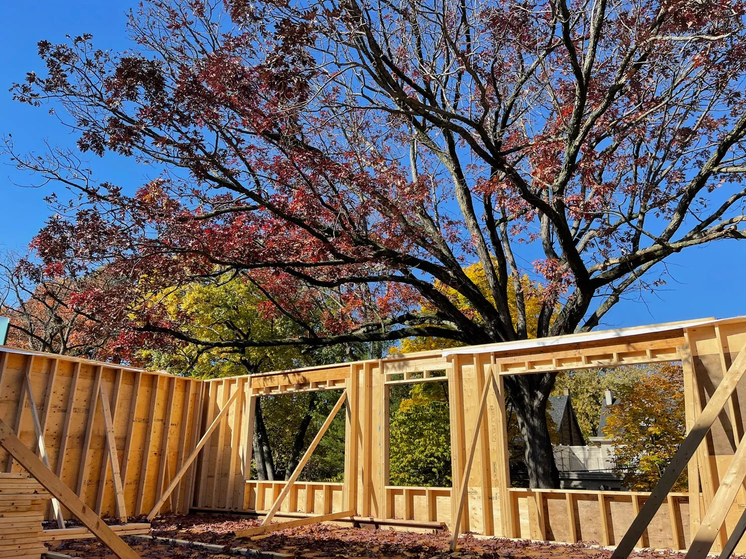 103 De Grassi St. | Dovetail Developments